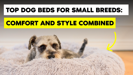 Top Dog Beds for Small Breeds: Comfort and Style Combined – The Brooklyn