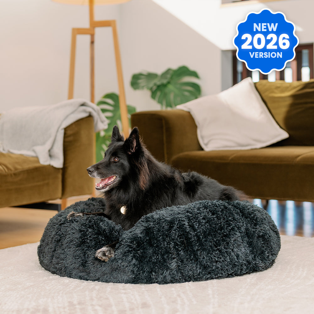 Brooklyn Deep Sleep Dog Bed – The Brooklyn