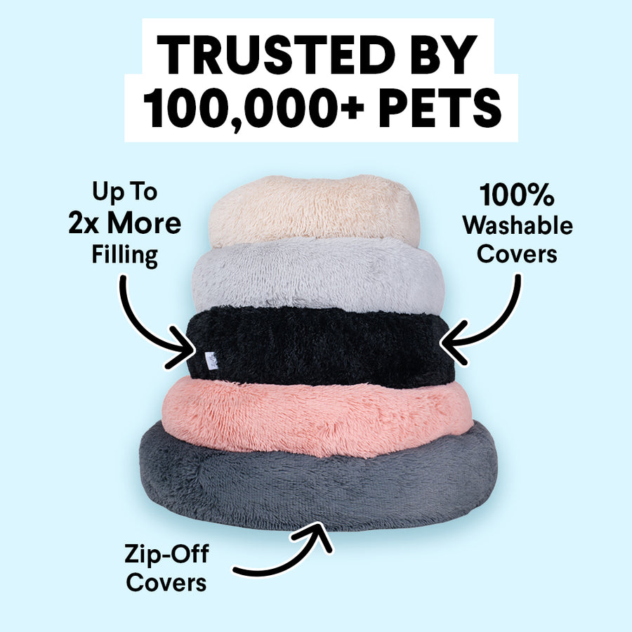 Brooklyn® Deep Sleep Pet Bed | NZ's Favourite Dog Bed | $70 Off Today ...