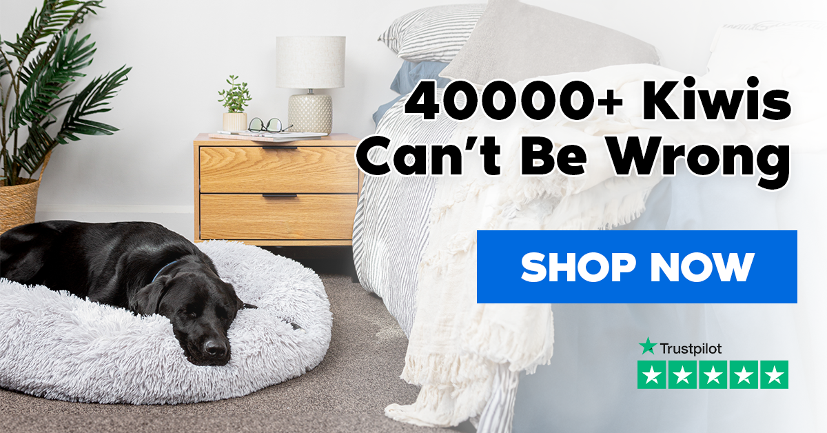 The Brooklyn | NZ's Favourite Dog Beds | Free NZ Shipping